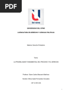 041224 Apc Grupo Legacy | PDF