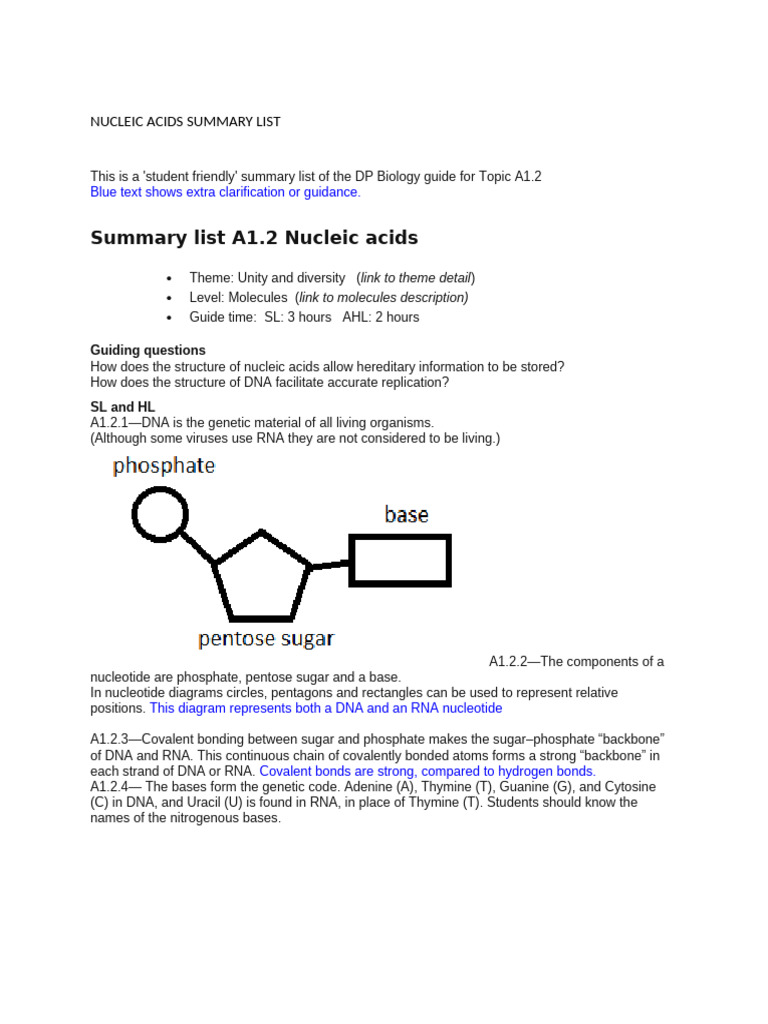 Nucleic Acids Overview for DP Biology | PDF | Dna | Nucleotides