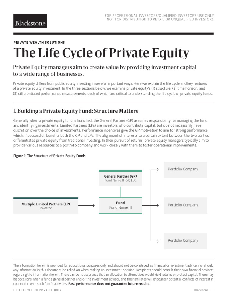 Blackstone - Life Cycle of Private Equity - 2021 | PDF | Investing ...
