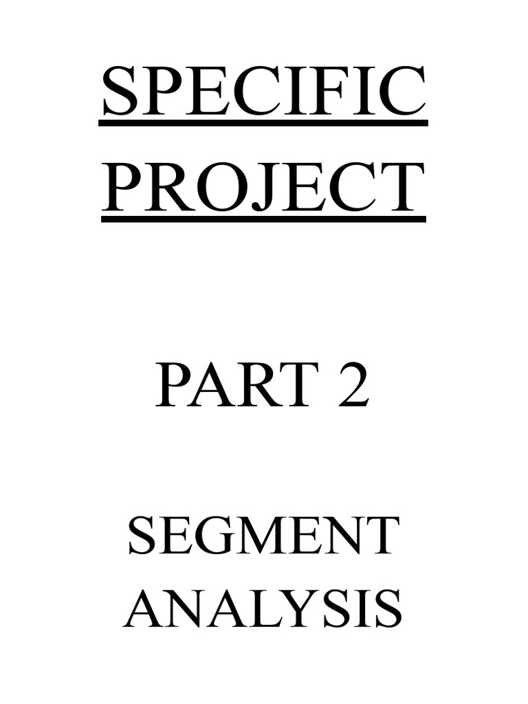Segment Analysis | PDF