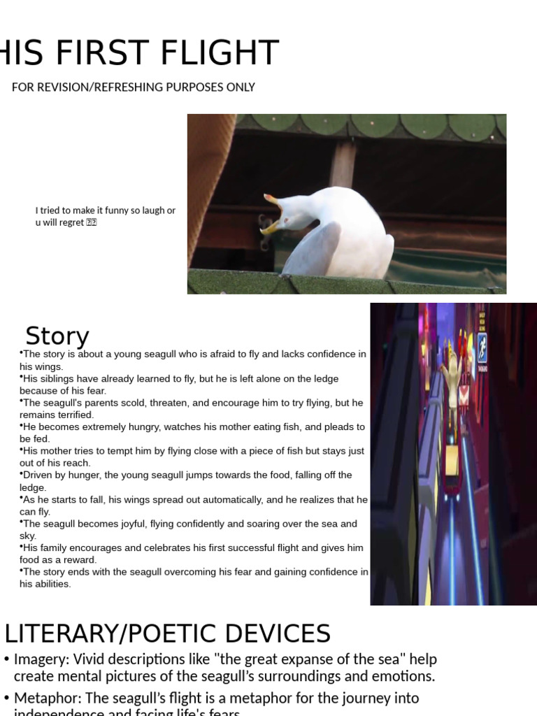 Seagull's Flight: Fear and Freedom | PDF