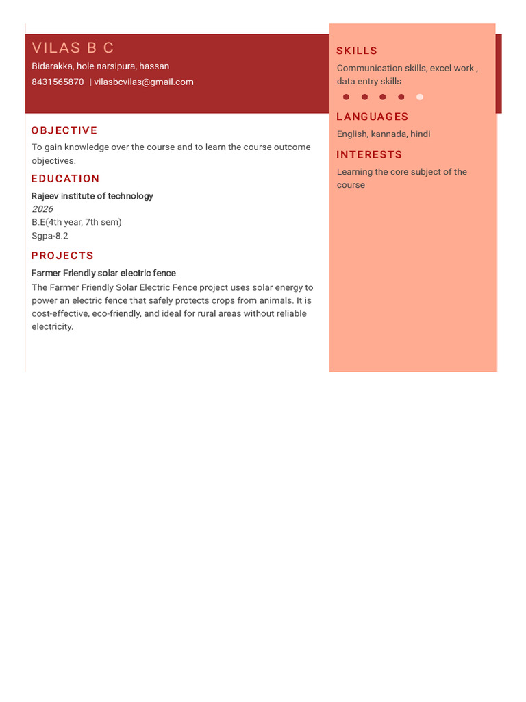 Vilas Resume CV | PDF