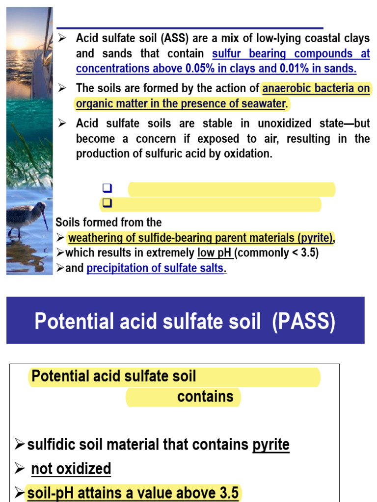 ACSS-305 Class-6 Acid Sulfate Soil 2022-23 | PDF | Soil | Sulfate