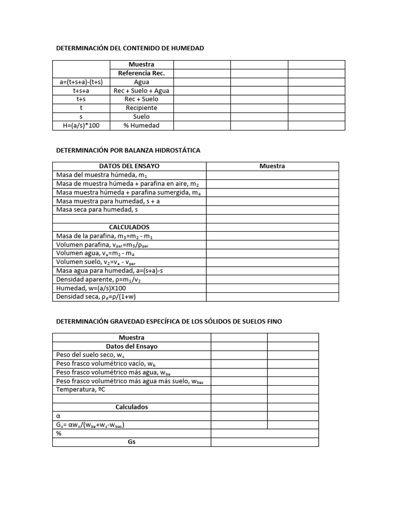 Modelos de Ensayos 1 | PDF