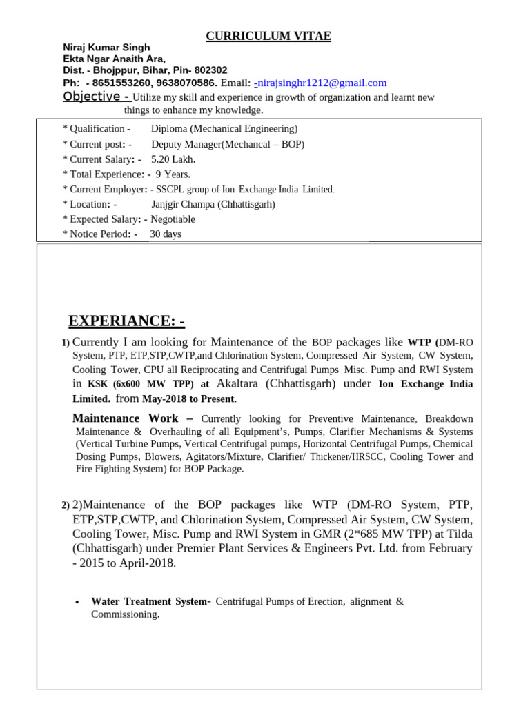 Niraj Kumar Singh 2025 | PDF | Mechanical Engineering | Energy Technology