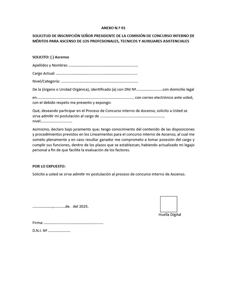 ANEXO N° 01- ANEXO N°02_250726_080551 | PDF