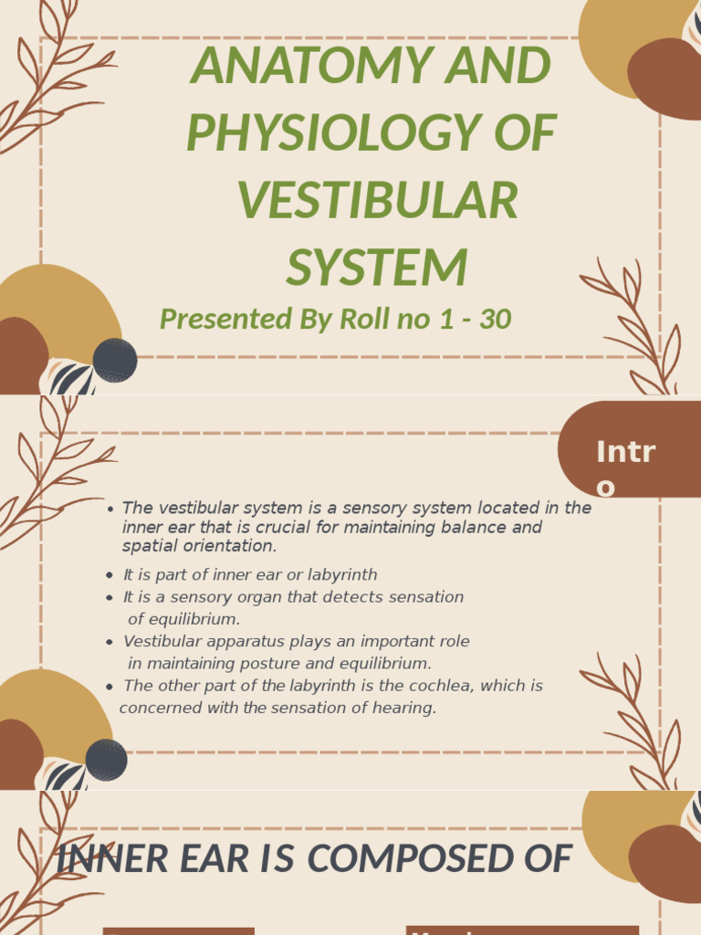 Vestibular System Anatomy & Function | PDF | Vestibular System ...