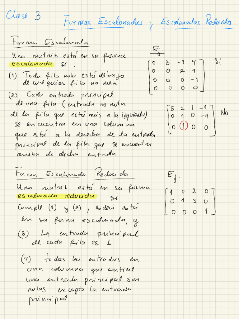 Clase 3 B Formas Escalonada y Escalonada Reducida | PDF | Álgebra lineal | Álgebra