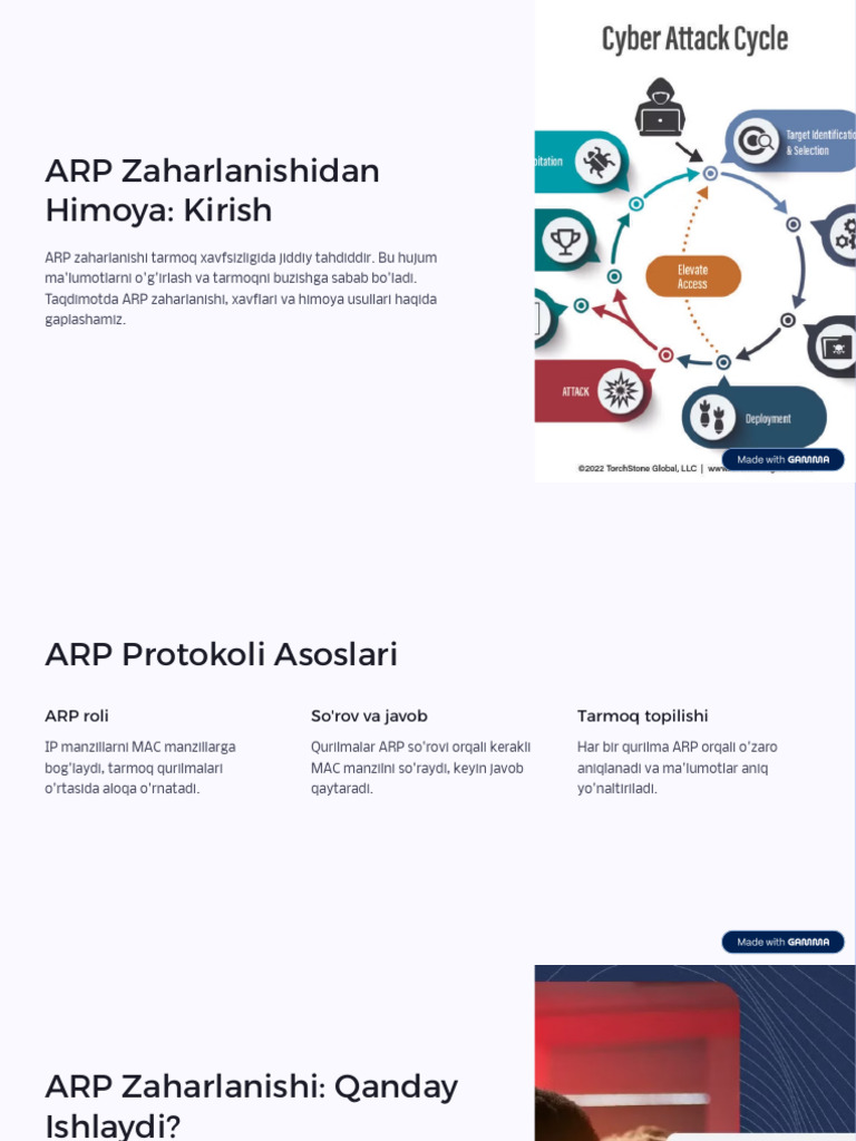 ARP Zaharlanishidan Himoya Kirish | PDF