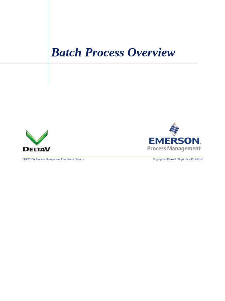 1 - Batch Process Overview Delta V | PDF | Databases | System