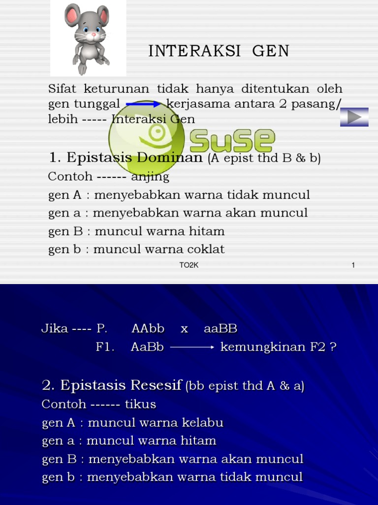 Interaksi Gen 1 | PDF