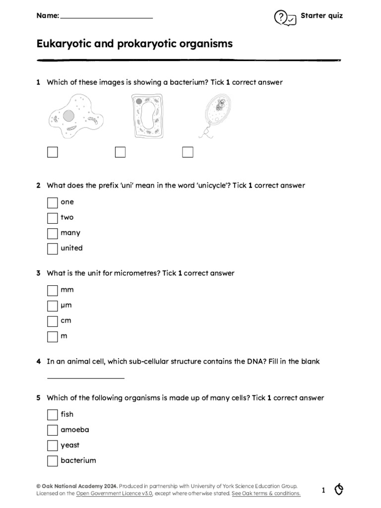 Starter Quiz Questions | PDF