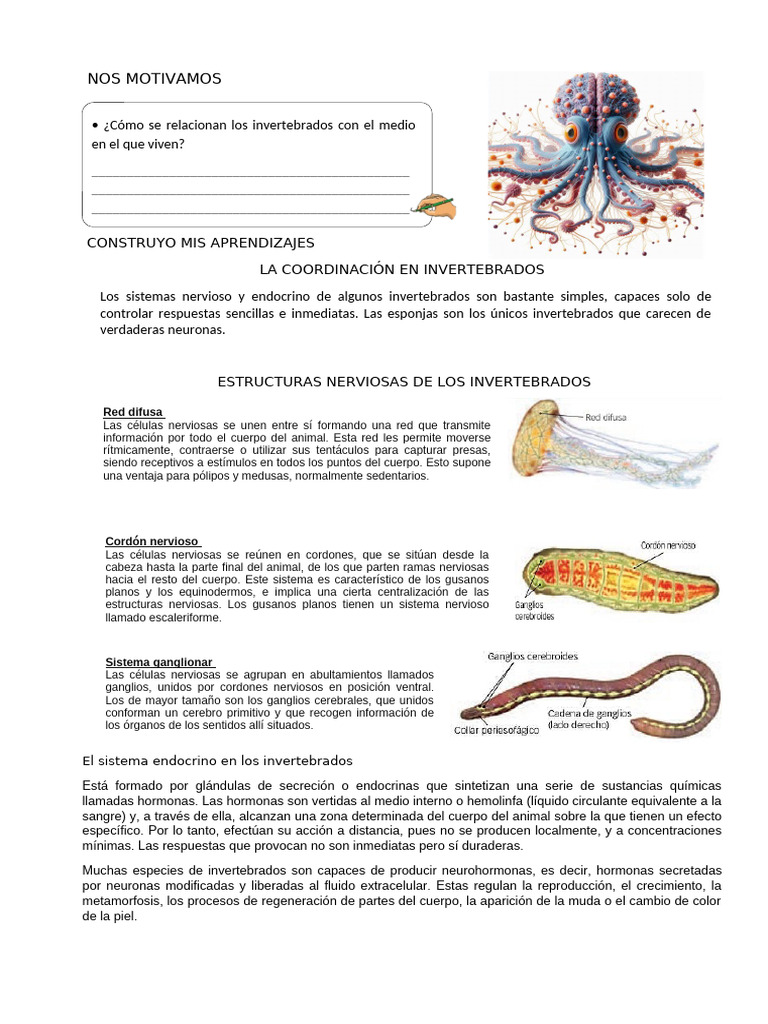 Anexo-Cyt - 4-Sesion 5 | PDF | Sistema nervioso | Neurona