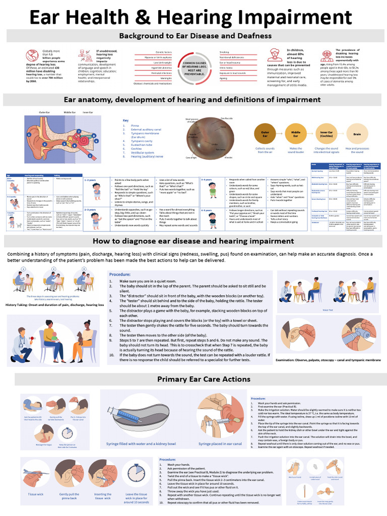 Ear Health and Deafness 2024 | PDF