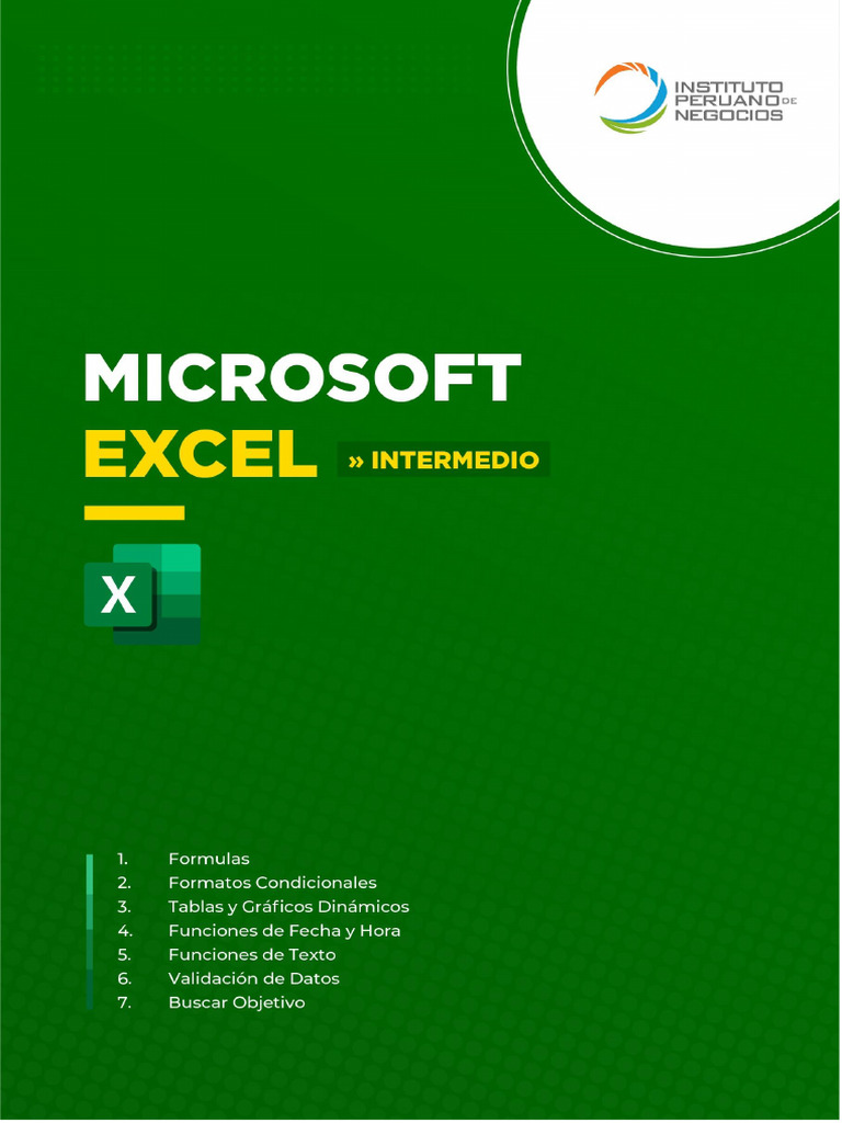 Manual de Microsoft Excel - Intermedio | PDF | Microsoft Excel | Hoja de cálculo