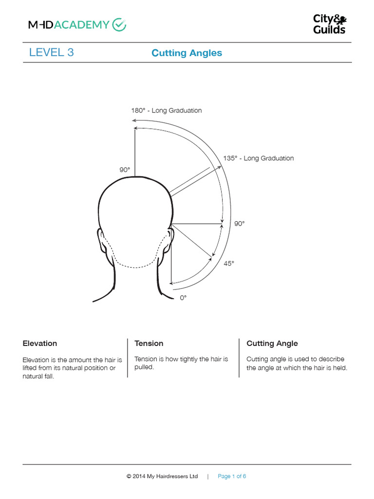 CuttingInformation Angles | PDF | Hairstyle | Hairdresser