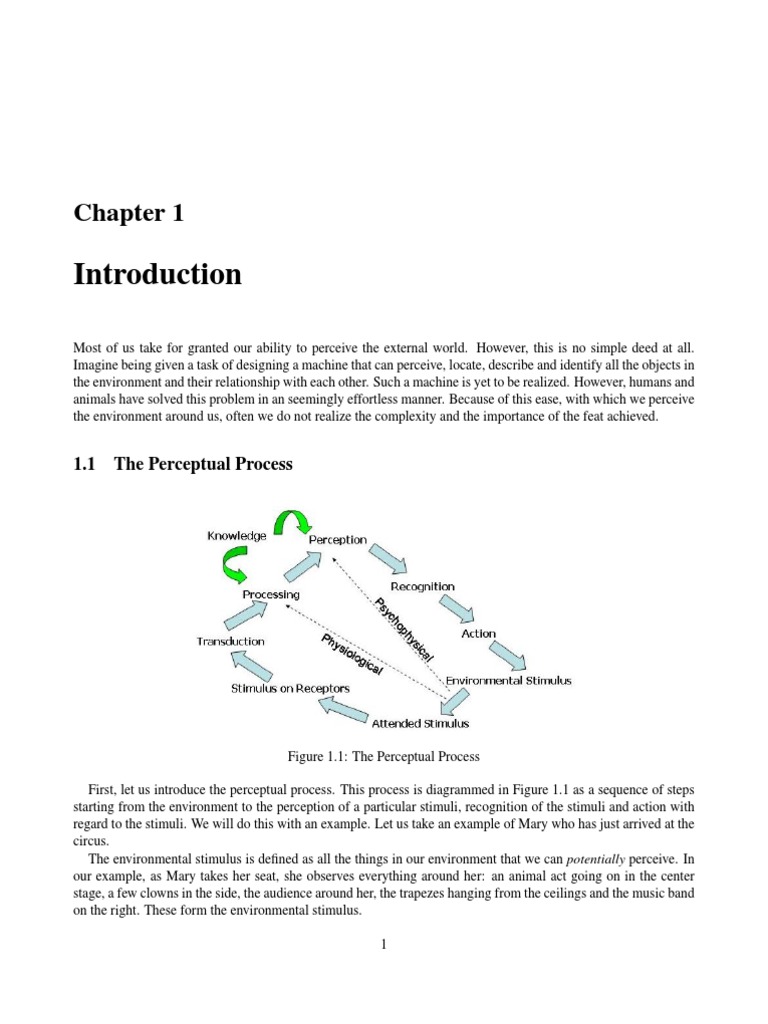 An Introduction to the Complex Process of Visual Perception: A ...