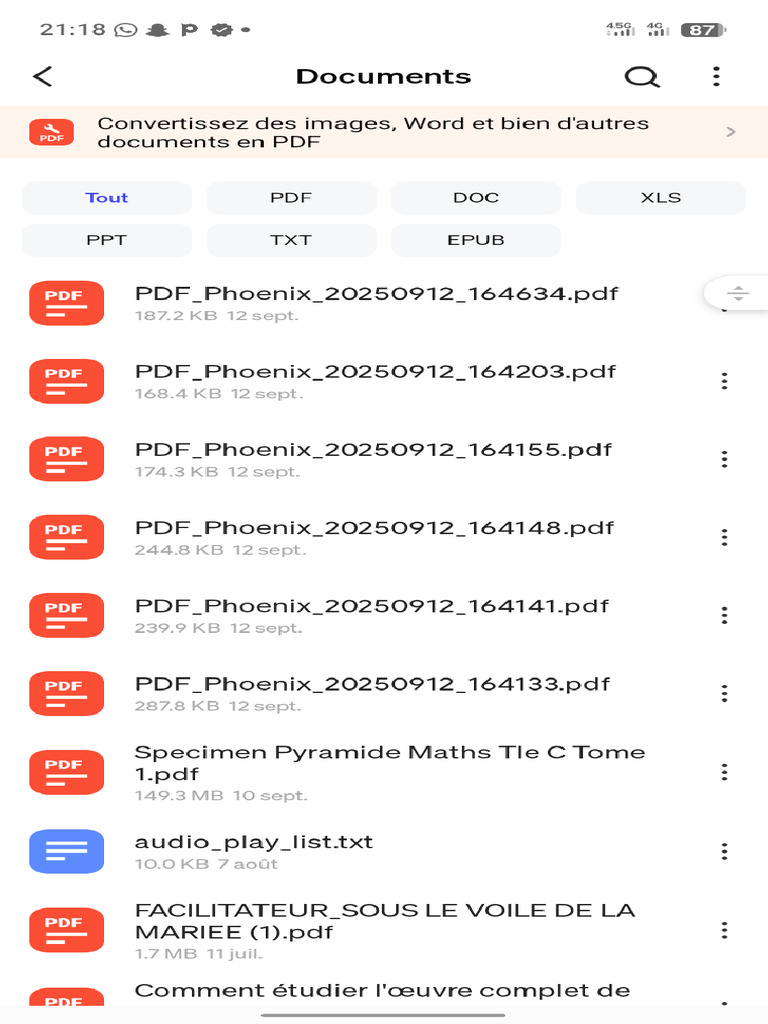 PDF Phoenix 20250912 211916 | PDF
