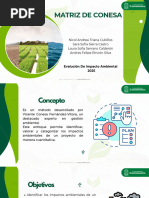 Matriz Vicente Conessa | PDF | Entorno natural | Residuos