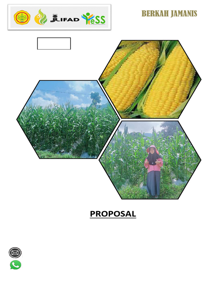 PROPOSAL SITI NUR FATIMAH pdf-dikompresi | PDF