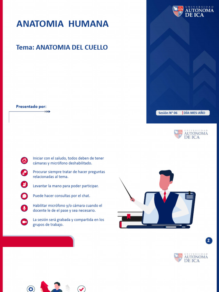 Anatomía Del Cuello Explicación Universitaria | PDF | Cabeza y cuello ...