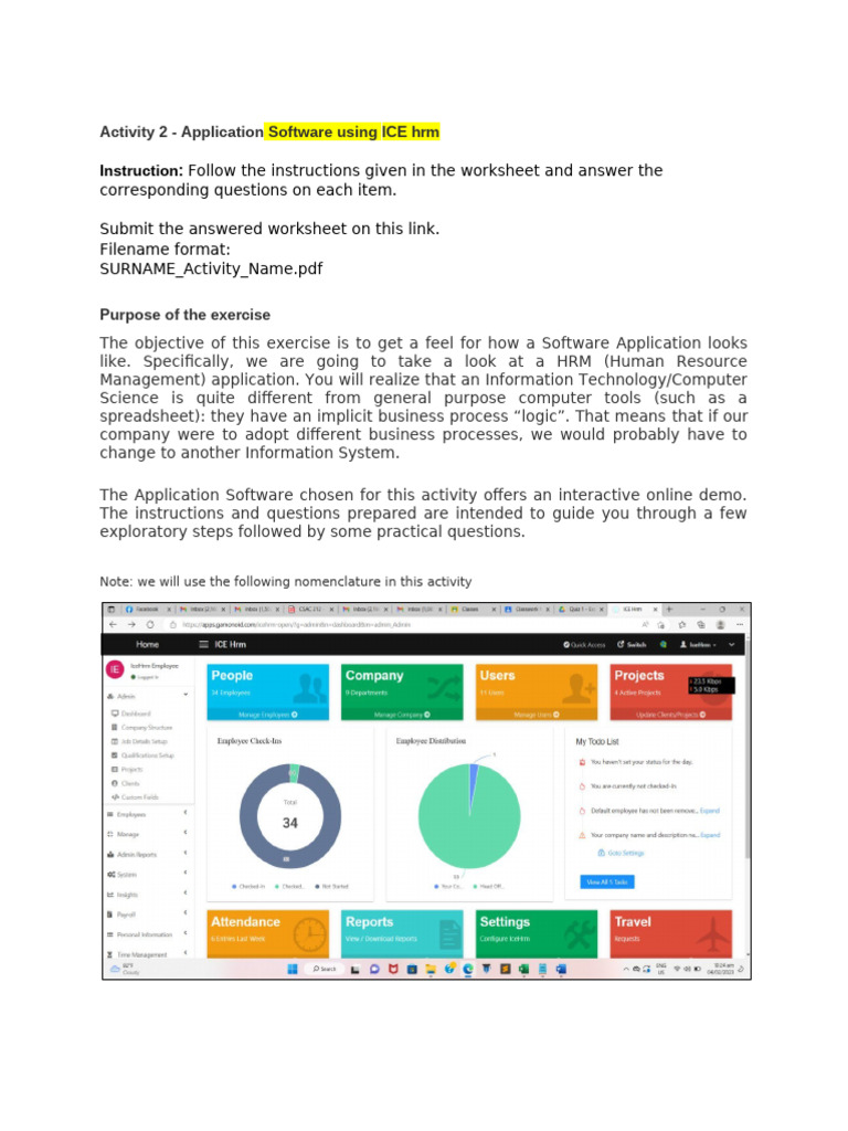 Activity 2 Application Software Using ICE HRM | PDF | Employment | Salary