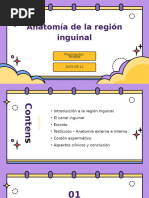 Anatomía de la Región Inguinocrural | PDF | Abdomen | Anatomía