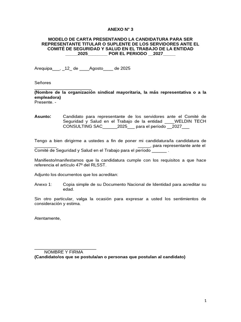 Anexo Nº 03 - Modelo de Carta de Presentación de Candidaturas | PDF