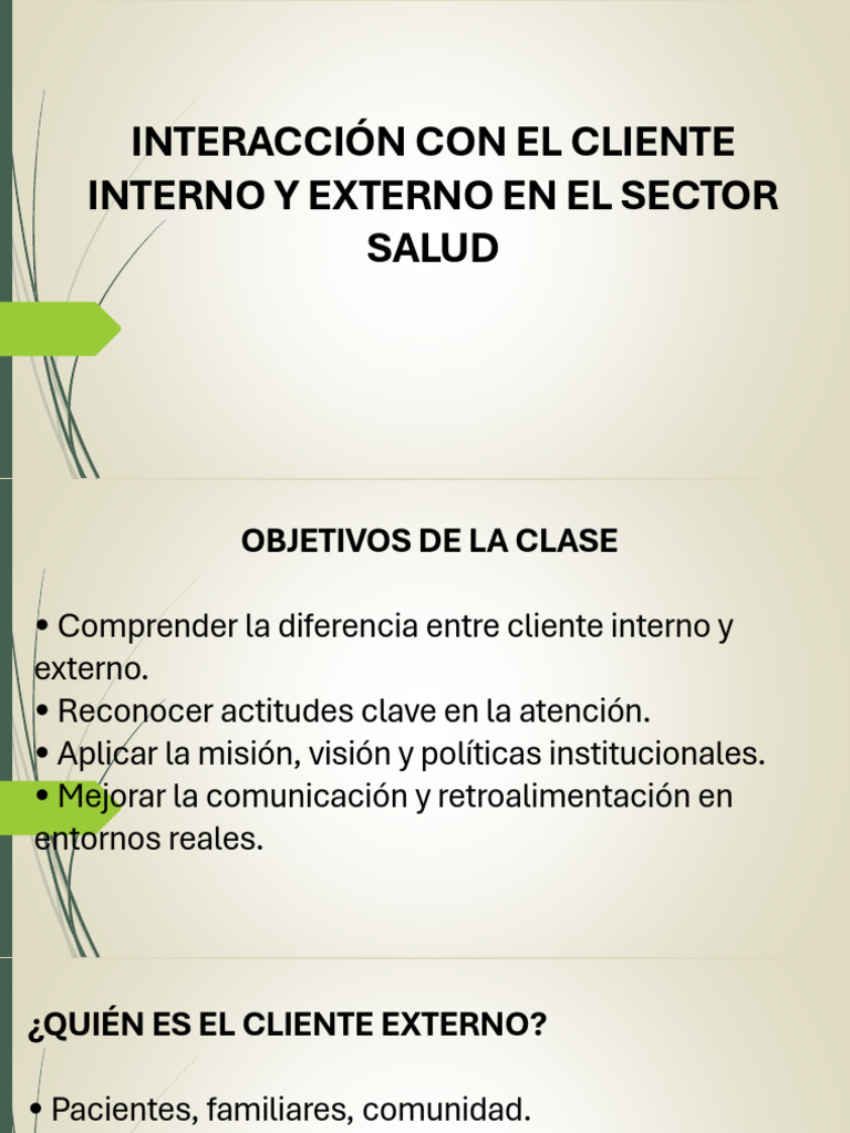 Interacción Con El Cliente Interno y Externo en El Sector Salud | PDF