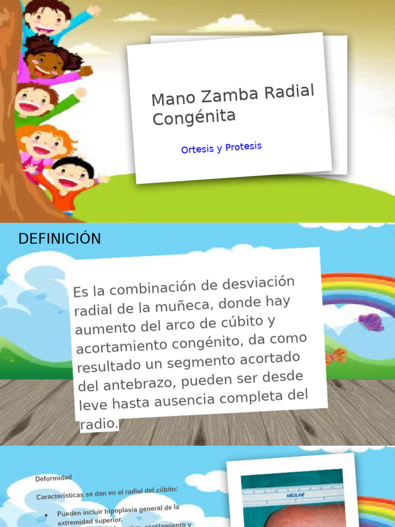 REBA Worksheet - Spanish Version | PDF | Mano | Anatomía humana