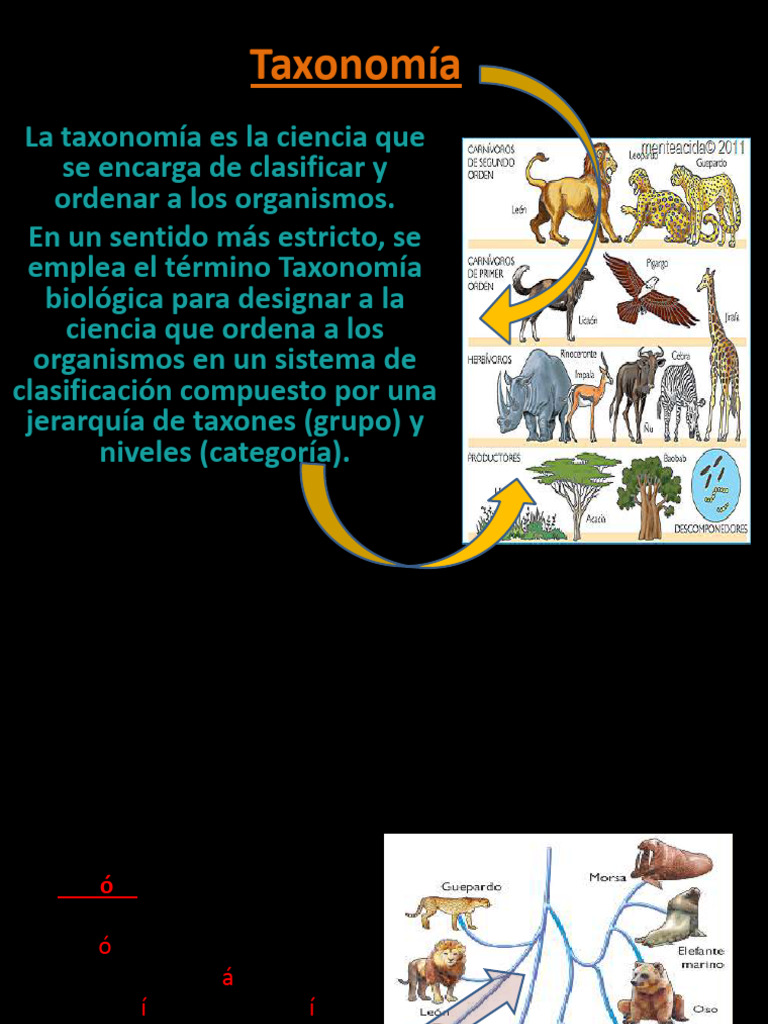 Presentacion de Taxonomia | PDF | Ciencias de la vida | Clasificación ...