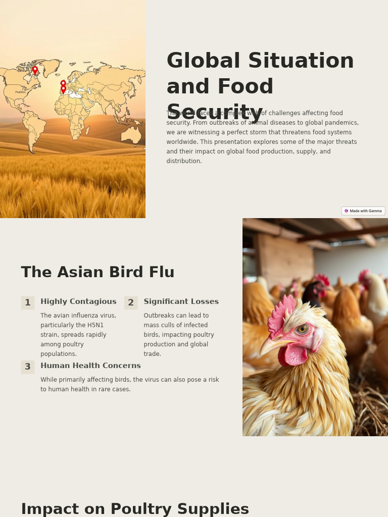 Global Food Security Challenges Explained | PDF | Avian Influenza ...