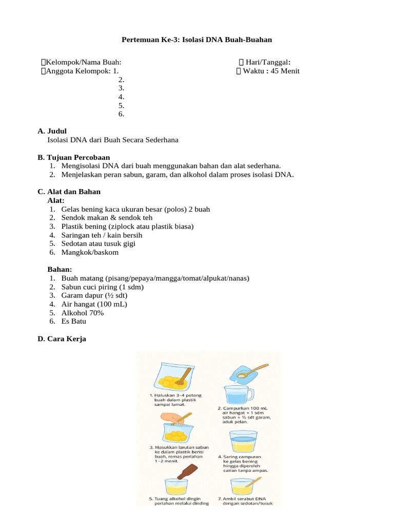 Pertemuan Ke 3 Isolasi DNA Buah | PDF