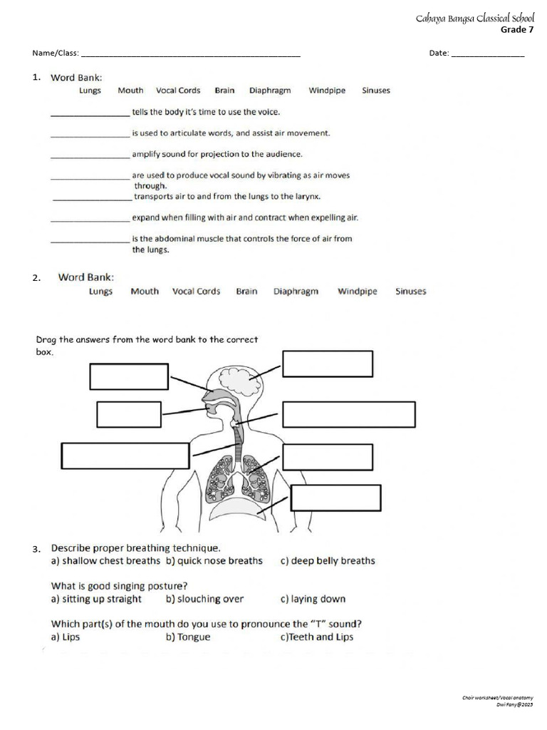 Vocal Anatomy Worksheet | PDF