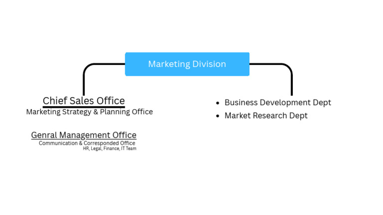 Marketing Division Structure 20250903 180453 0000 | PDF