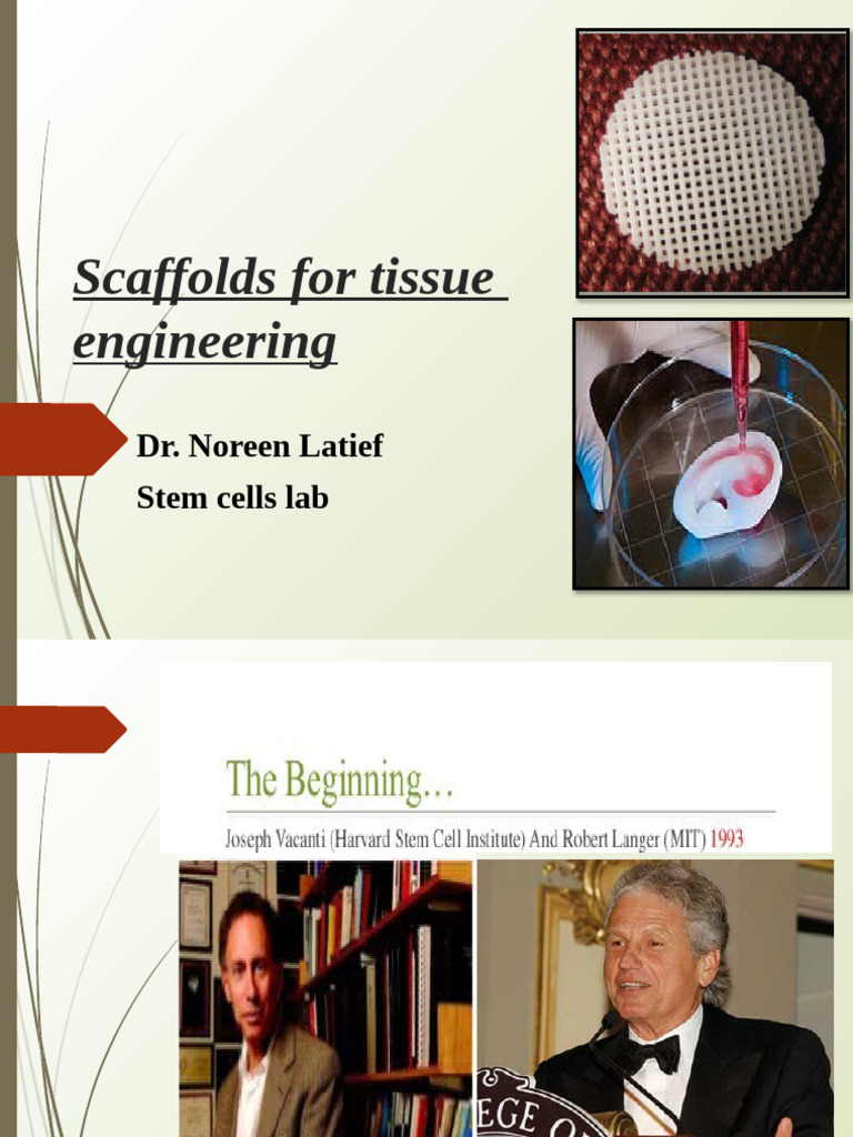 Scaffolds in Tissue Engineering Explained | PDF | Tissue Engineering ...