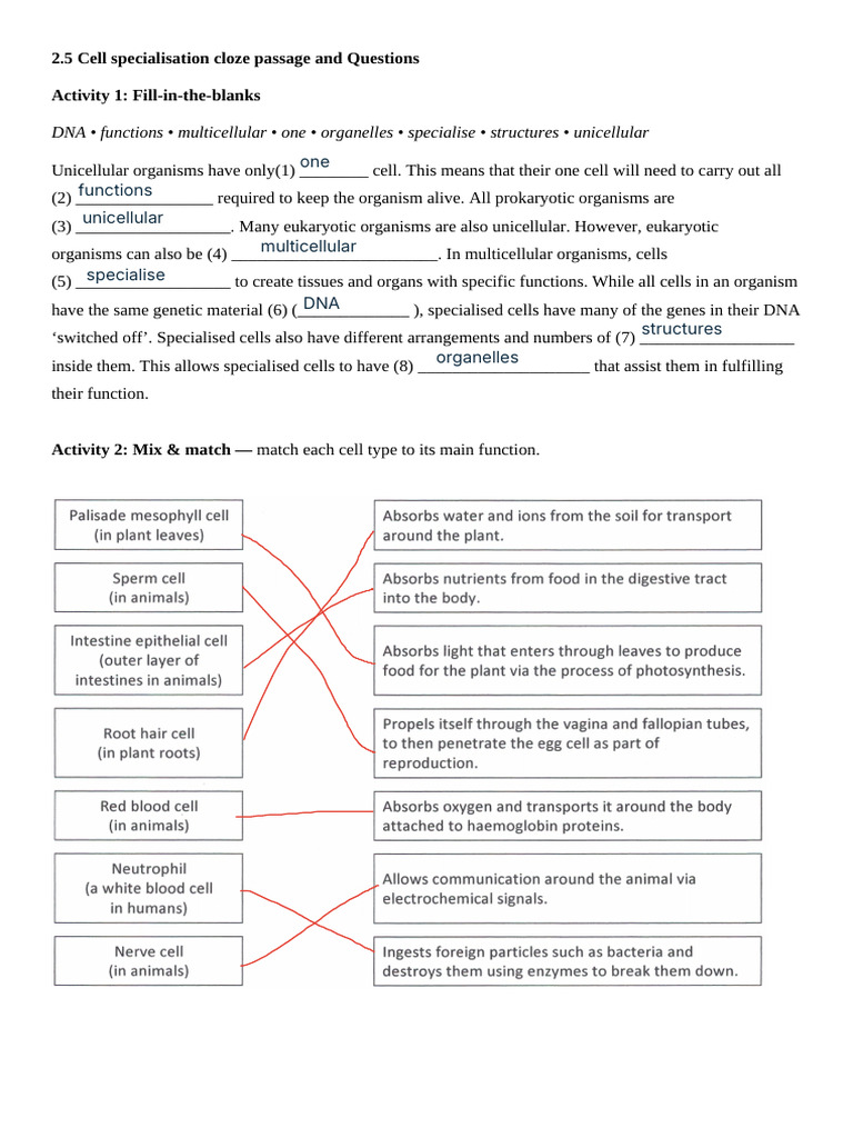 2.5 Cell Specialisation Cloze Passage and Questions | PDF | Cell ...