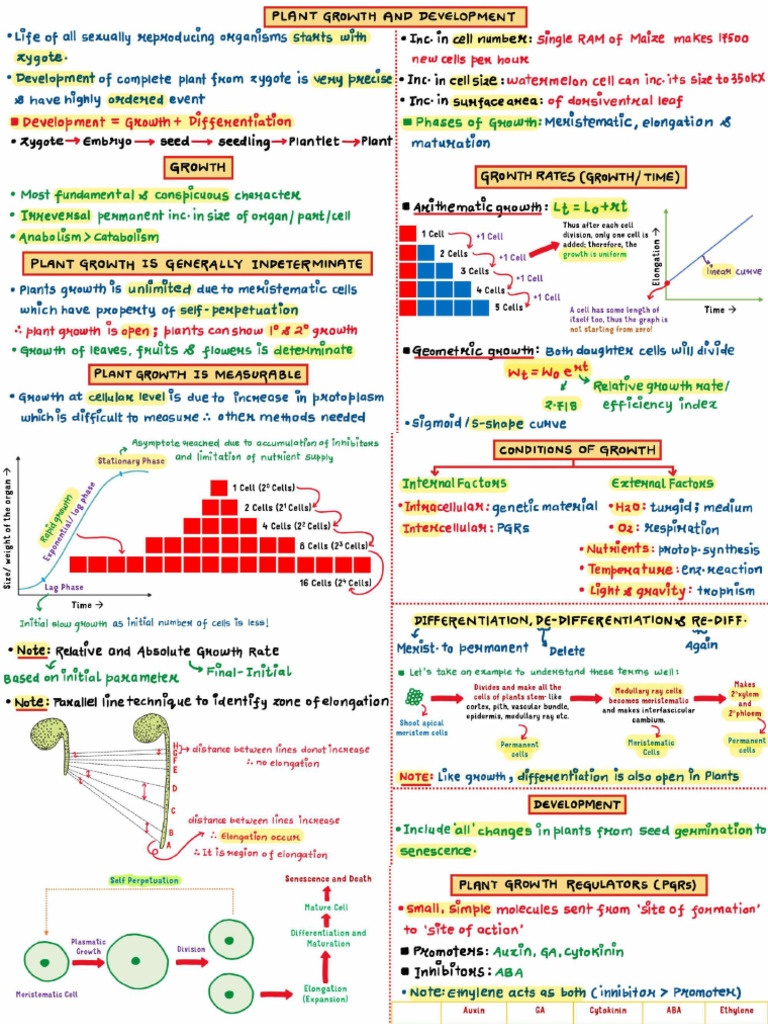 Plant Growth and Development Class Notes-Merged | PDF