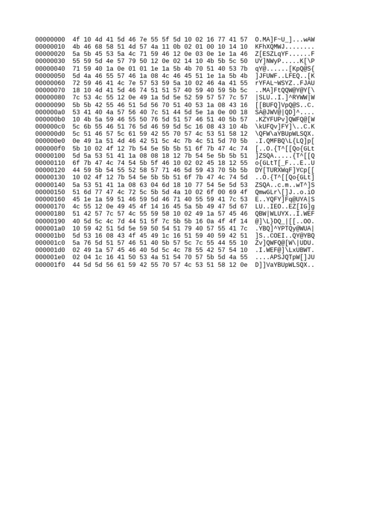 Hexadecimal Data Dump Analysis | PDF