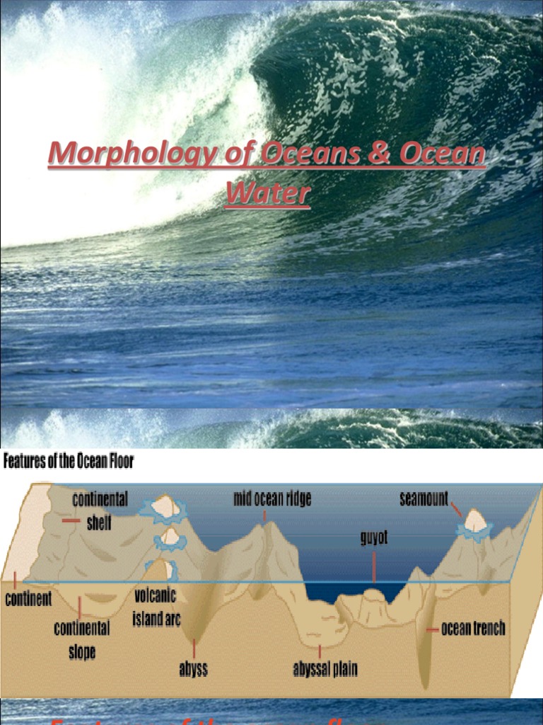 Ocean Floor Morphology Overview | PDF | Seabed | Oceans