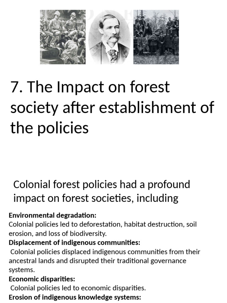 Colonial Forest Policies' Societal Impact | PDF