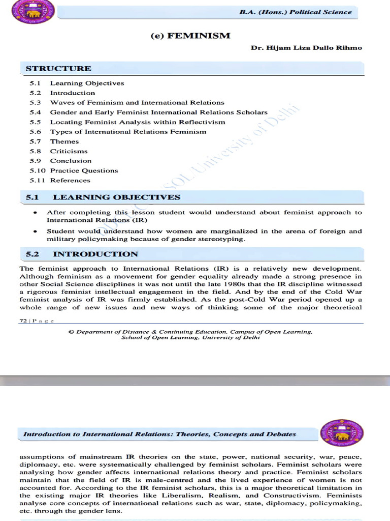 Feminist Perspectives in International Relations | PDF | International ...