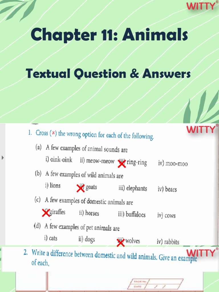 Domestic vs. Wild Animals Explained | PDF