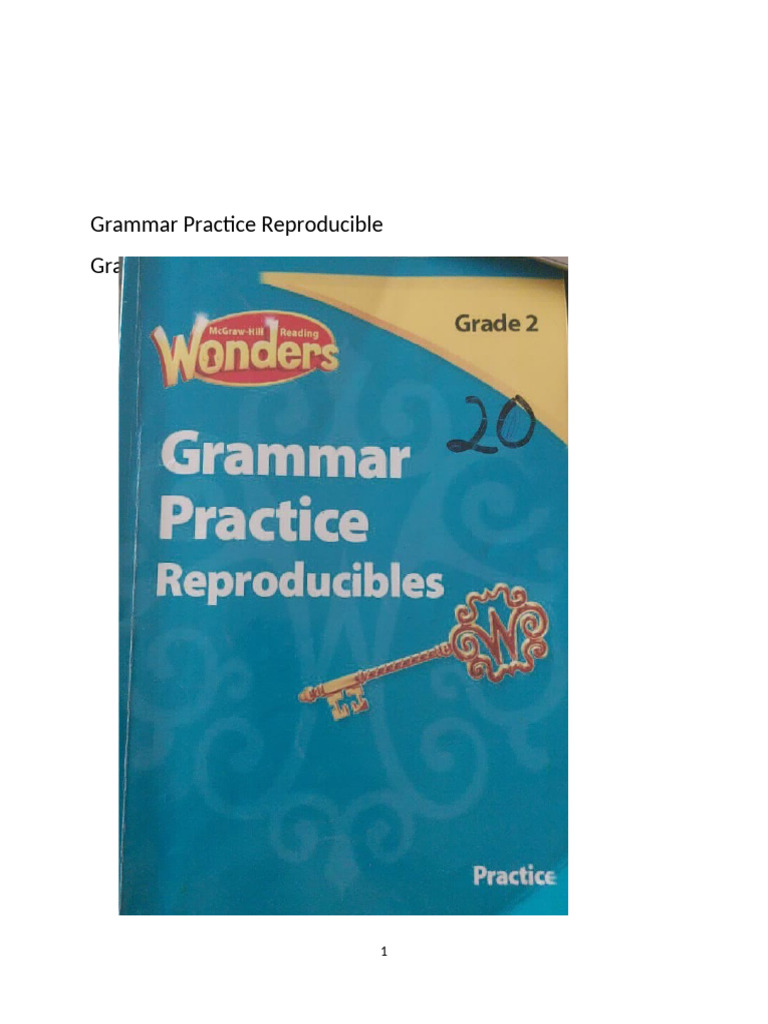 Grade 2 Grammar Practice Guide | PDF