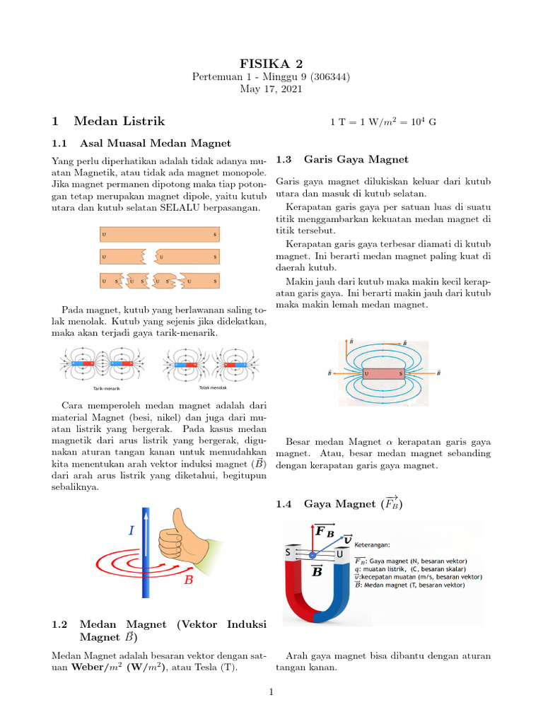 Medan Magnet | PDF