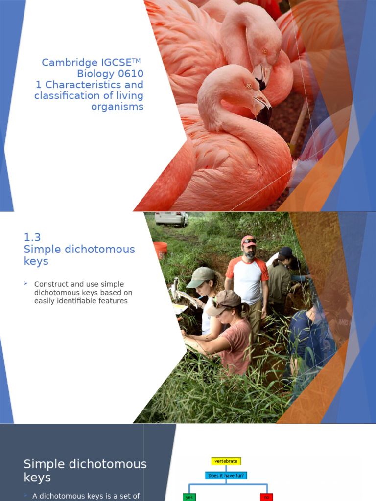 3386 - Chapter 1 Classification and Keys 9igcse | PDF