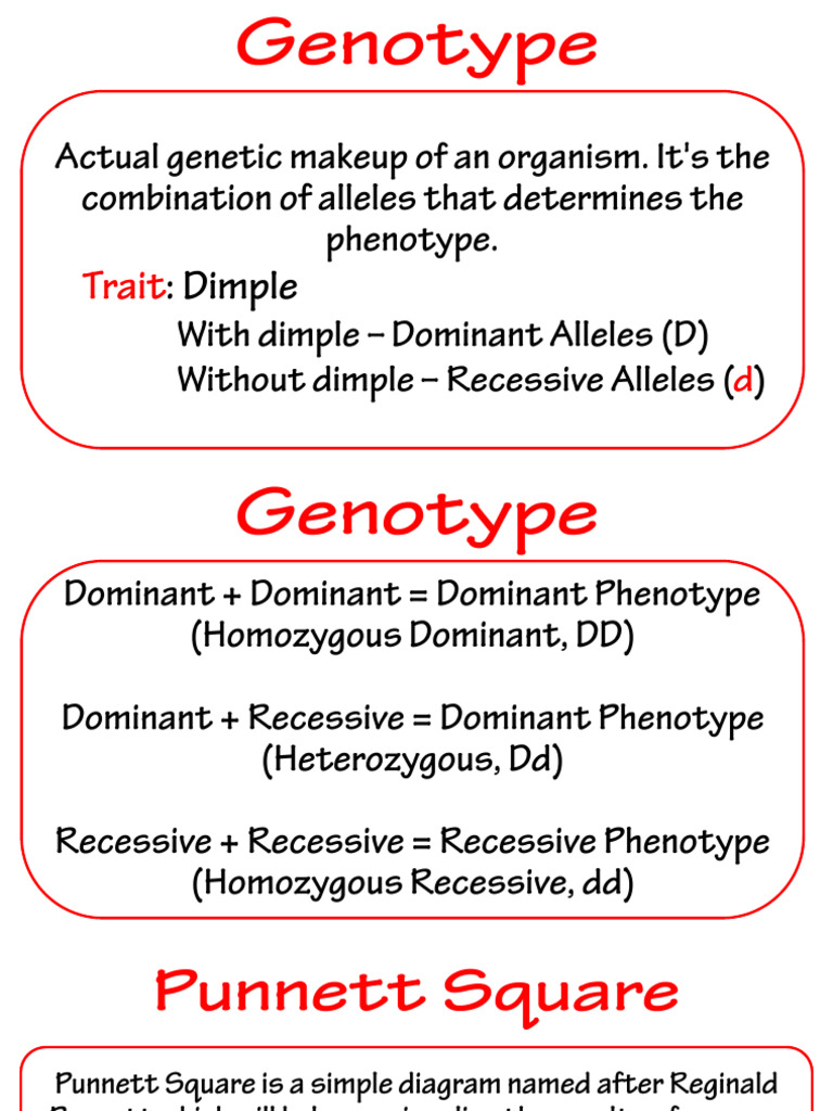 Q1 Lesson 4 Week 4 Monohybrid Cross | PDF