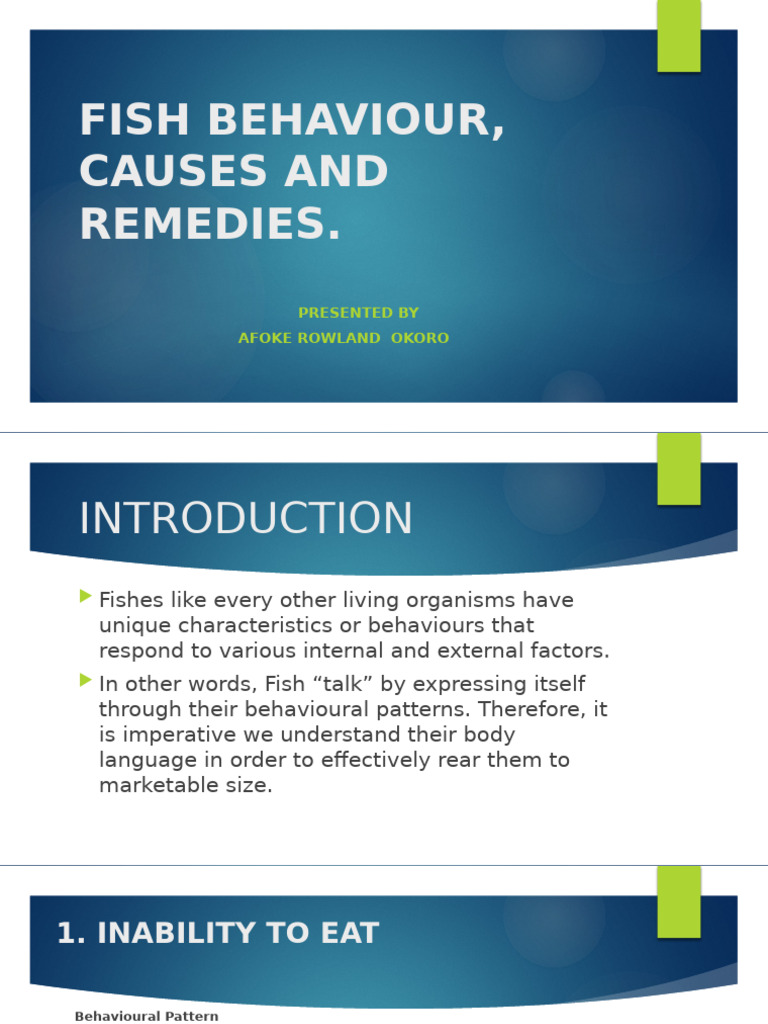 Fish Behaviour, Causes and Remedies 2 | PDF | Fish | Water