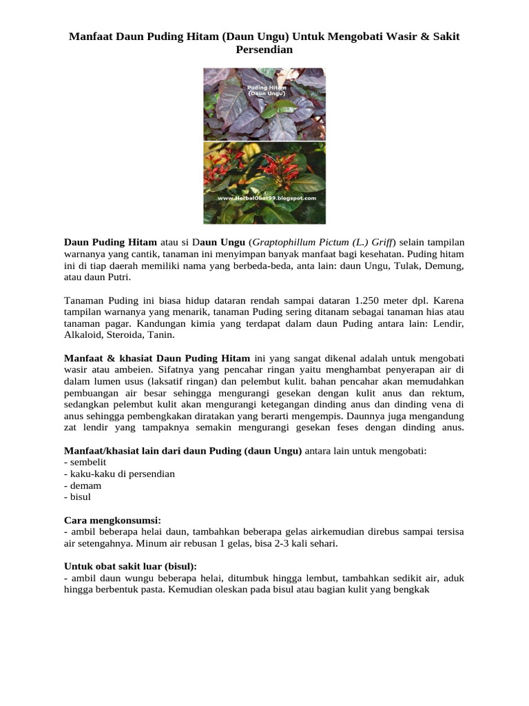 Manfaat Daun Puding Hitam | PDF
