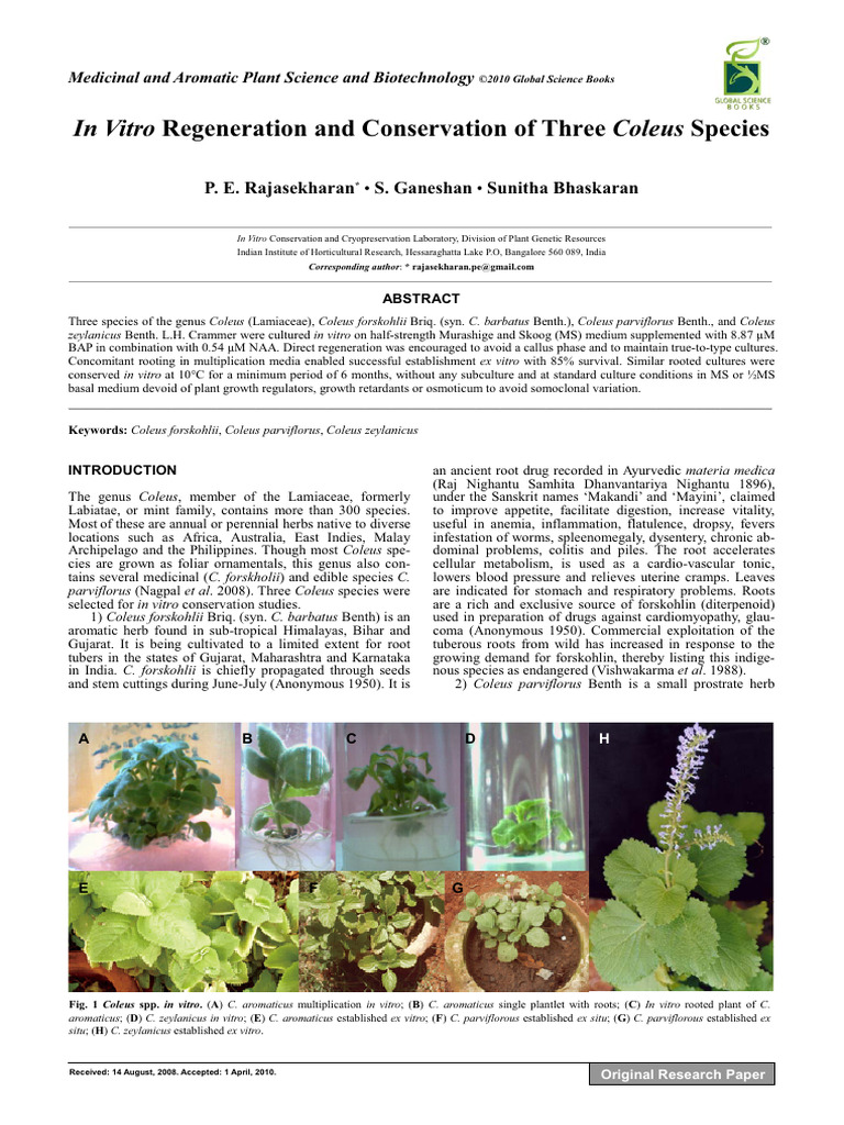 In Vitro Conservation of Coleus Zeylanicus | PDF | Root | Biology